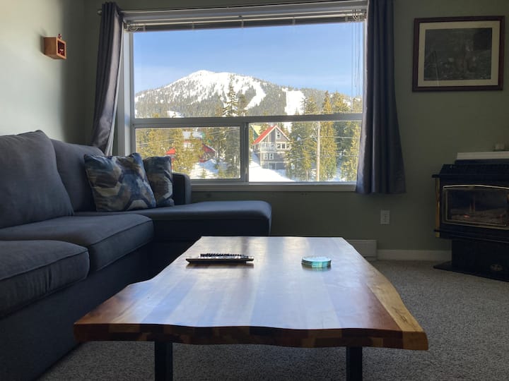 Upgraded One Bedroom Condo On Mount Washington - British Columbia