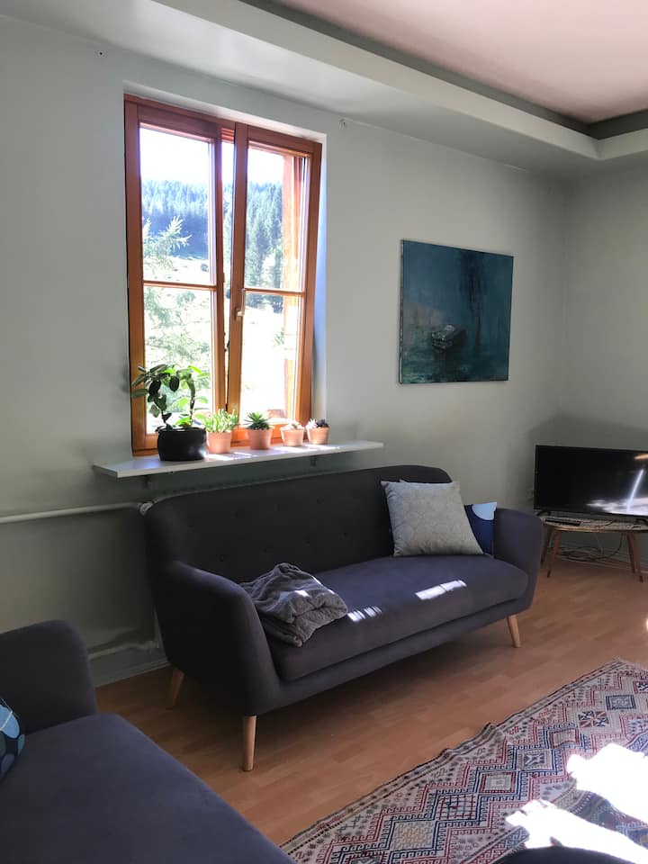 Nice Fine Room In The Black Forest - Schluchsee