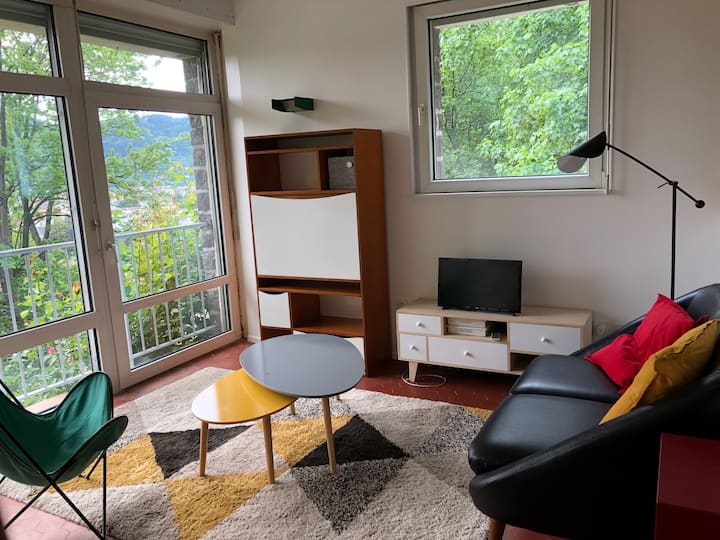 Appartement Design Proche Forêt, Vue Remarquable. - Saint-Dié-des-Vosges