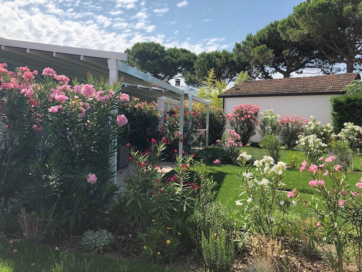 Maribeach 2 - 027044-loc-00429 M0270440697 - Cavallino-Treporti