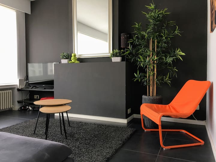 Your Temporary Home In Bruges - Zedelgem