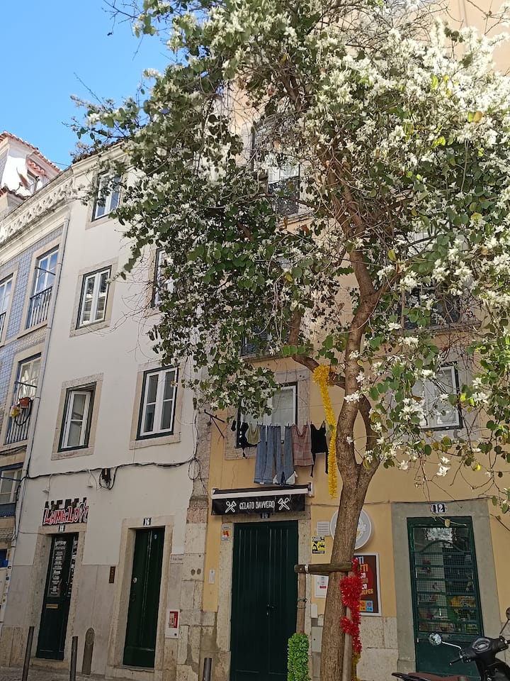 Hen Stag Bachelor Lxtownhouse Trendy Centre Street - Lisboa
