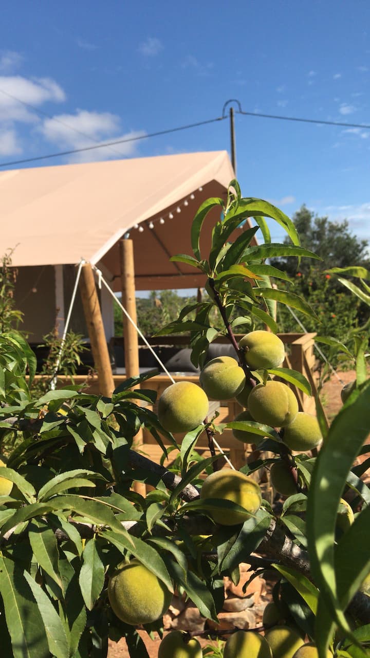 Heerlijke Lodgetent In Buitengebied 3 - Praia da Luz