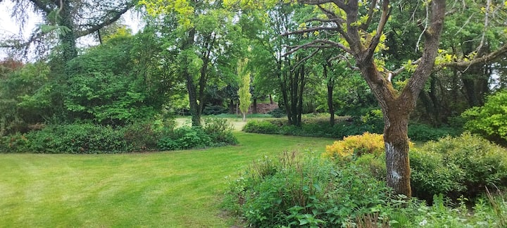 Slå Telt Op I Naturfyldt Have På Landet - Ribe