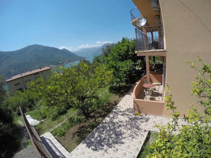 Amazing View Of Kotor Bay - Montenegro