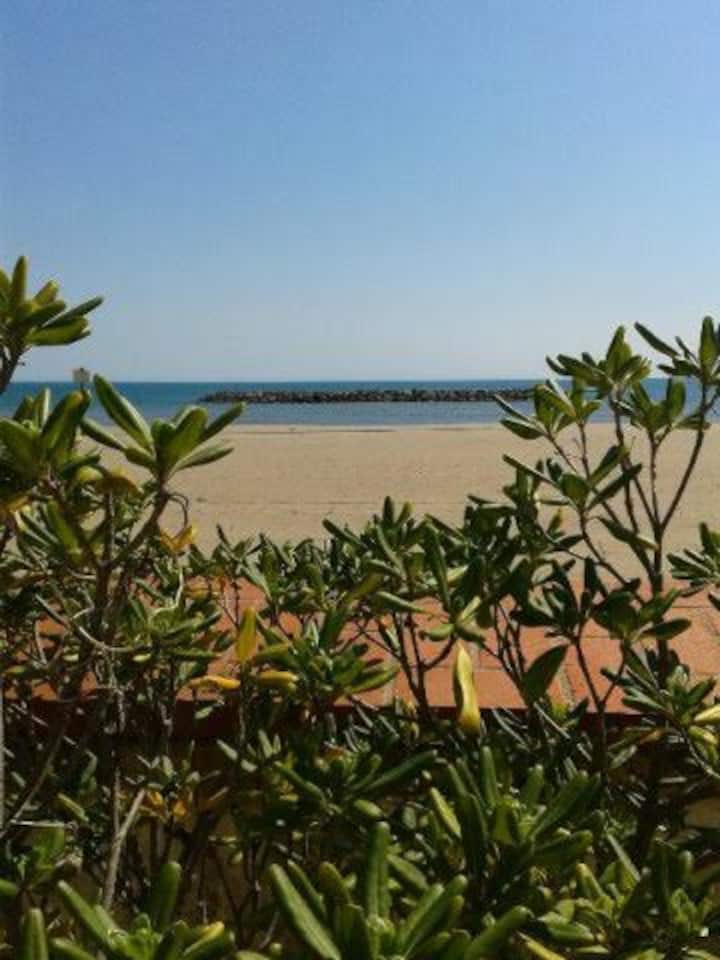 Appartement Rez De Chaussee Villa Sur La Plage - Valras-Plage
