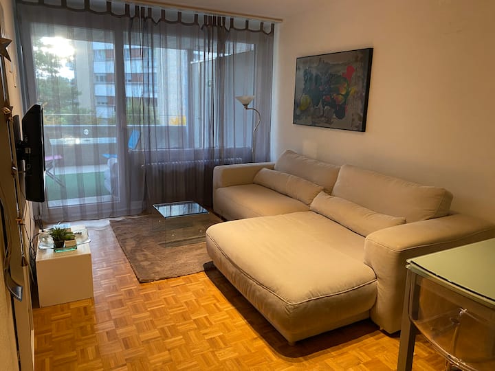 Spacious Room Near Epfl – Comfort & Quiet - Crissier