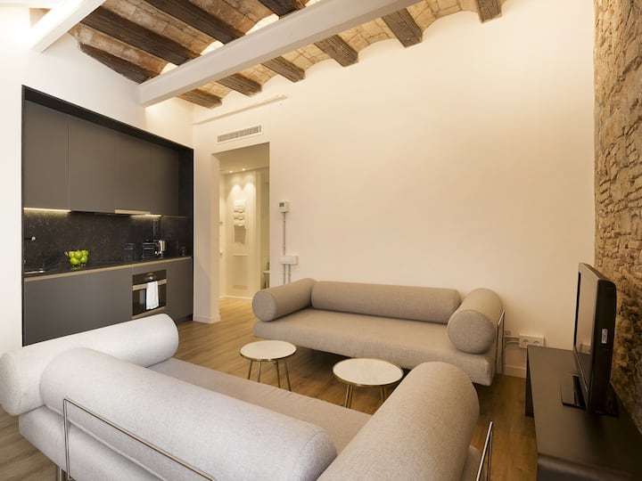 Superior Deluxe One Bedroom Apartment - Barcelona