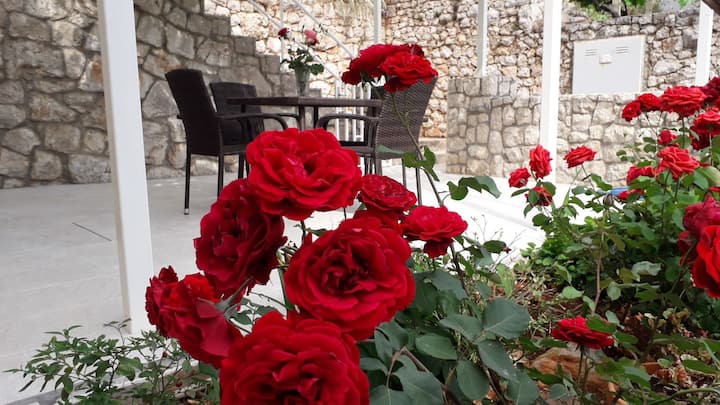 Apartman Marija Dubrovnik - Dubrovnik