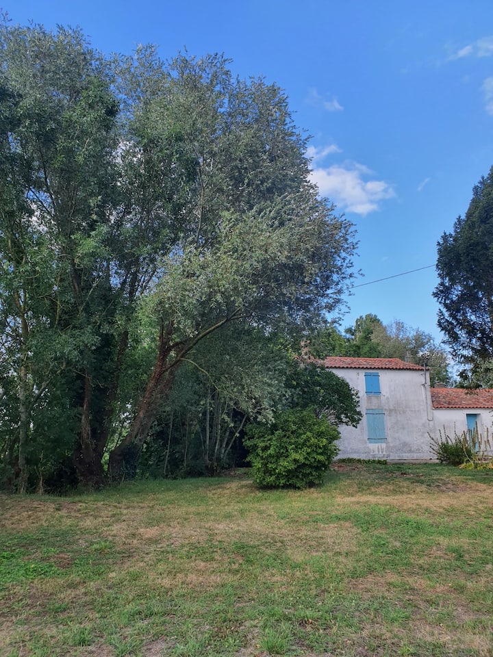 Côté Marais Poitevin - Marans