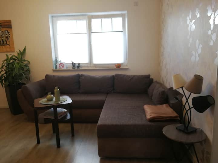 Gemütliches Apartment Mit E-ladestation - Érfurt