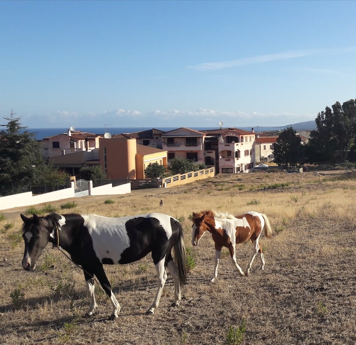 Casa Vacanze Cavour - Valledoria