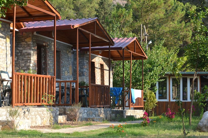 Your Forest Cabin near the Beach - Chalets for Rent in Ölüdeniz, Turkey ...