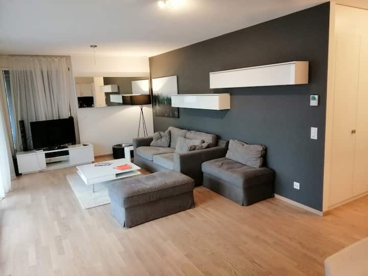 Modern 2 Br Apt - Residential Area + Park - Genève