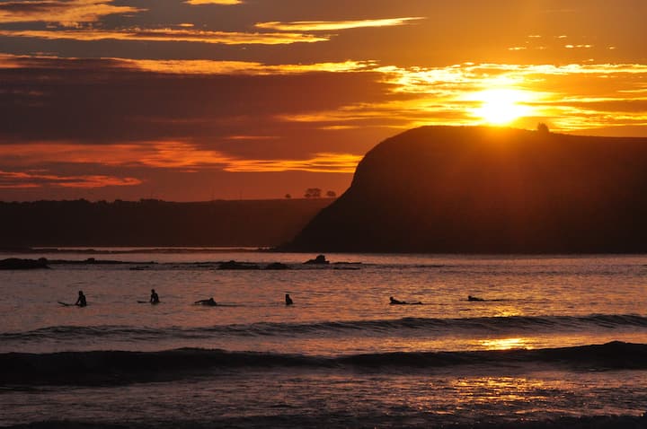 Elephants At Sunset Phillip Island - Phillip Island