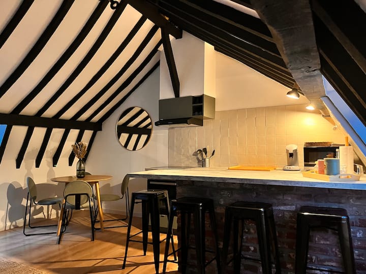 Appartement 2 Ch Hyper Centre Vue Sur Beffroi - ibis Styles Lille Centre Gare Beffroi