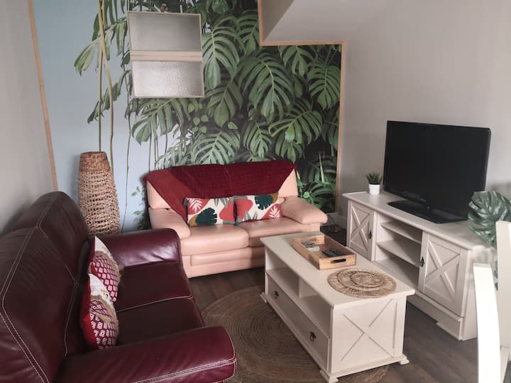 Maison De Ville, Loire à Vélo, Proche Du Cnpe - Avoine