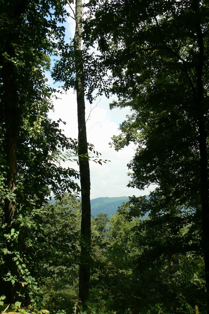 Cozy Cottage 2.2 Miles To Downtown Asheville - Asheville, NC