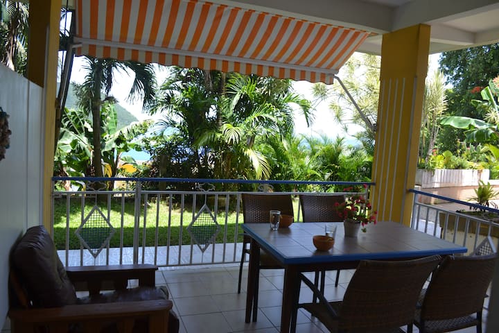 Arbre Du Voyageur - Gîte Coin Du Voyageur - Deshaies