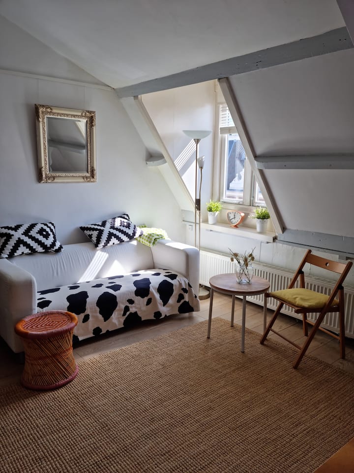 Bedandbreakfastdorienhaarlem - Haarlem