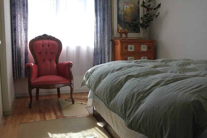 Kashiwanoha Hotspring Garden Villa&suite Room  2 - Chiba