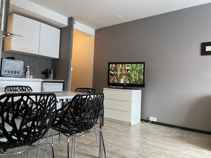 Grand Studio Proche Du Centre-ville 1-4 Personnes - Strasburgo