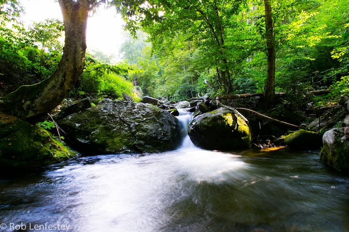 Rustic Paradise; Stream, Blue Ridge Pkwy, Camp - Black Mountain, NC
