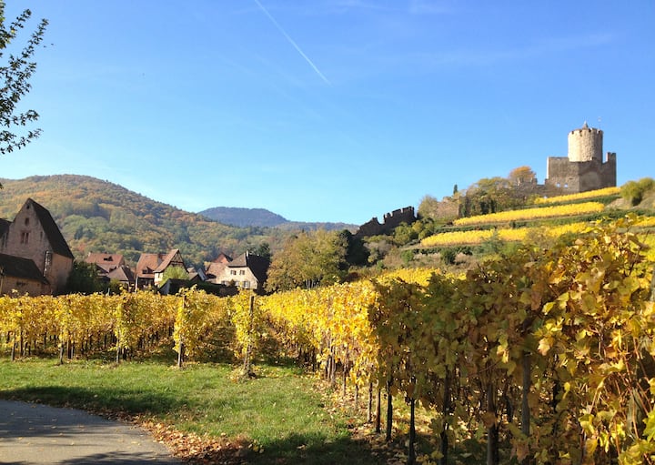 Jolie Chambre Rouge Au Coeur De Kaysersberg - Kaysersberg