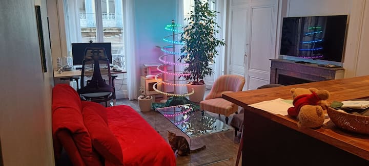 L'appartement Du Chat - Lyon