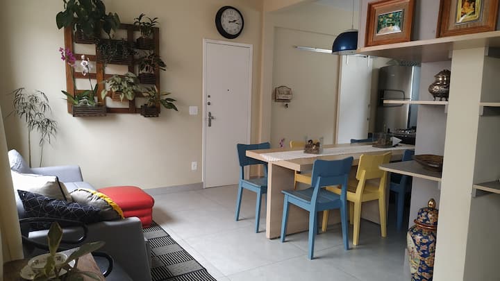 Ap Aconchegante, Ventilado E Com óTima Localização - Belo Horizonte