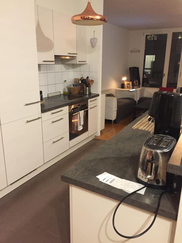 Room In Cozy Modern Duplex Appartment - Ginebra