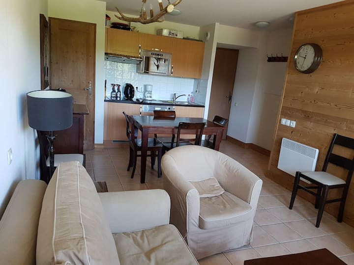Location En Station Ski Aux Pieds - Cluses