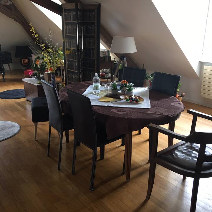 Loft Strasbourgeois Dans Manoir - Strasbourg