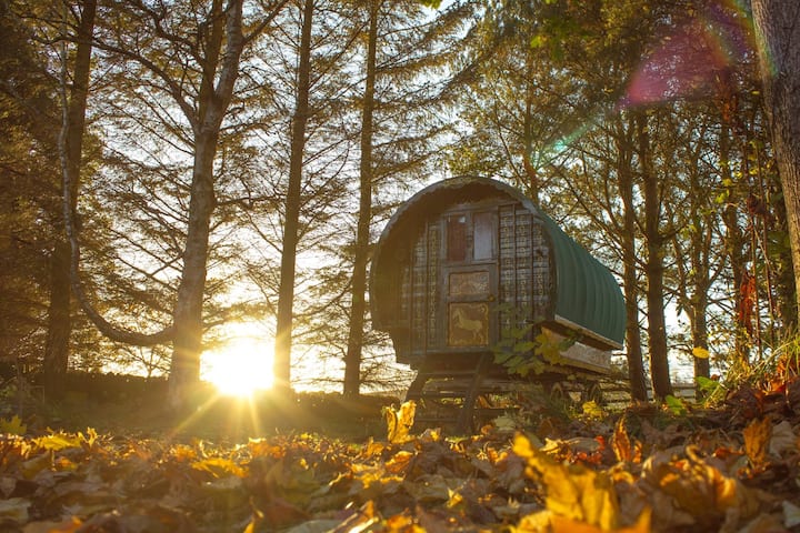 Magical Retreat In A Gypsy Caravan With Cottage - Galashiels