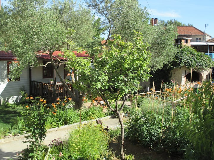 Pod Maslinom,mobile House - Biograd na Moru