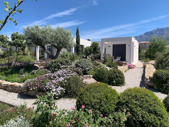 Villa Moderne Avec Piscine Entre Terre Et Mer - Calvi