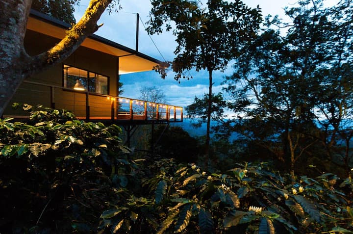 Selva Luxury Cabin - San Francisco - San Francisco