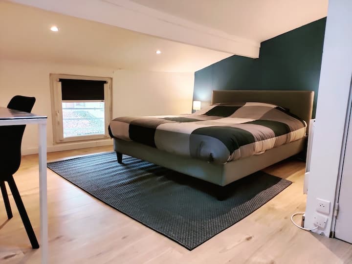Apt 2-pamiers Centre-logement Entier - Pamiers