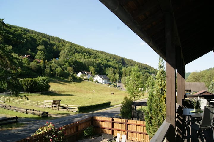"Talblick 2"  Apartment With Large Balcony - Hammer