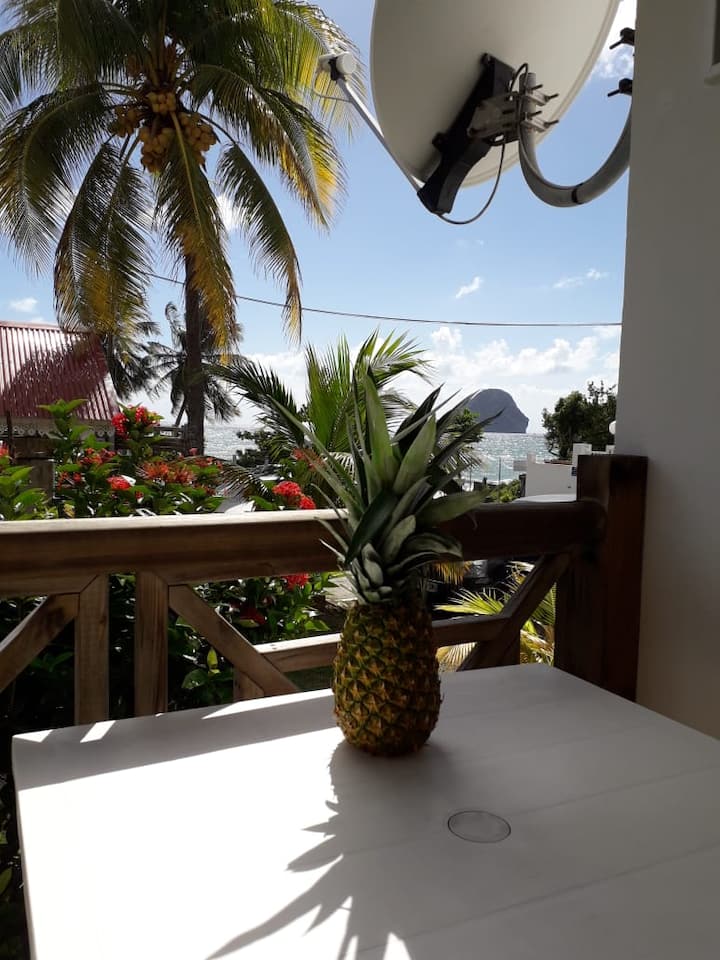 Face Au Rocher - Martynika