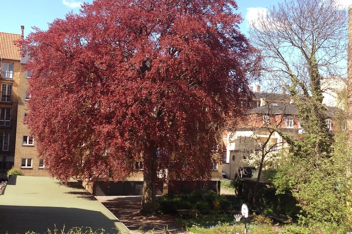 Skøn Herskabslejlighed Tæt På Alt - Copenhagen