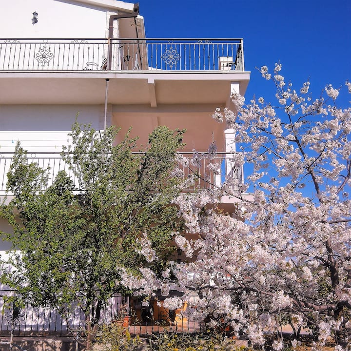 Apartman Tonka - Seget Vranjica