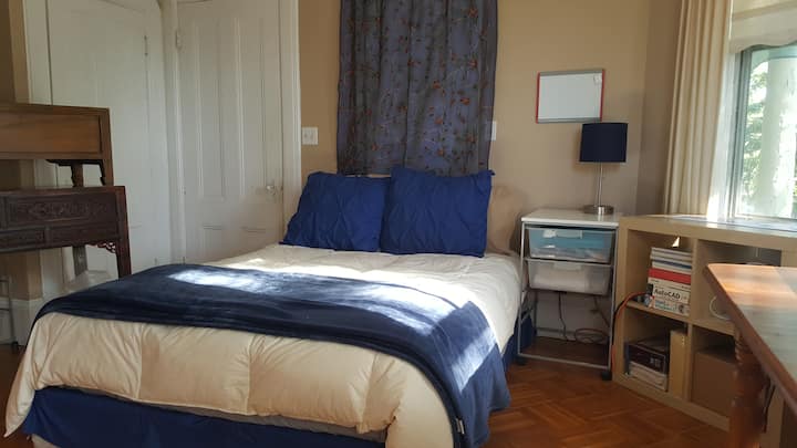 Large Sunny Room On First Floor In Huge Apartment! - Massachusetts