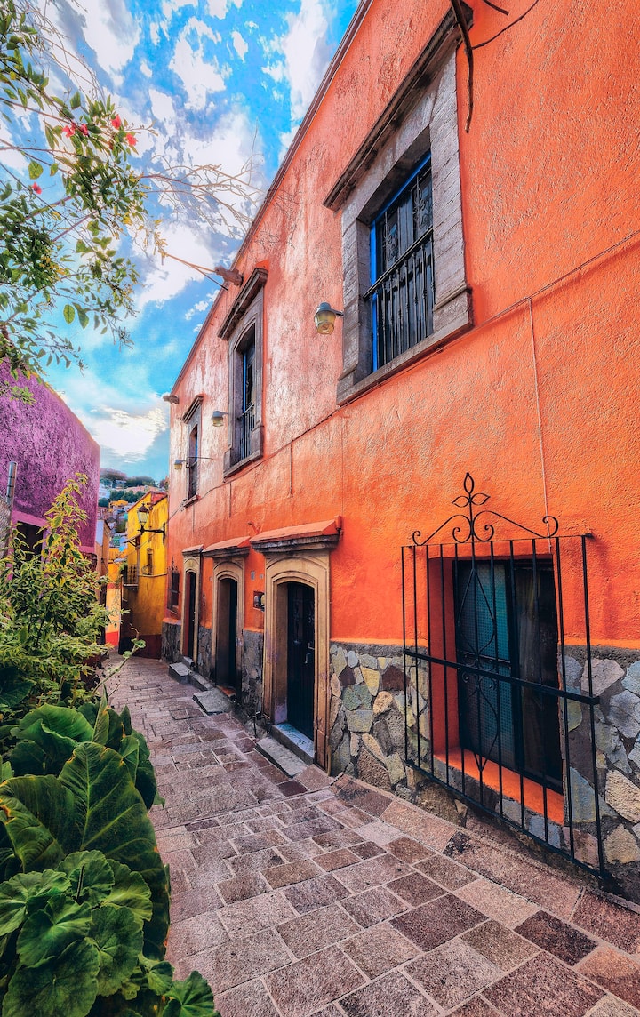 “El Zopilote Mojado” Departamento Dante - Guanajuato