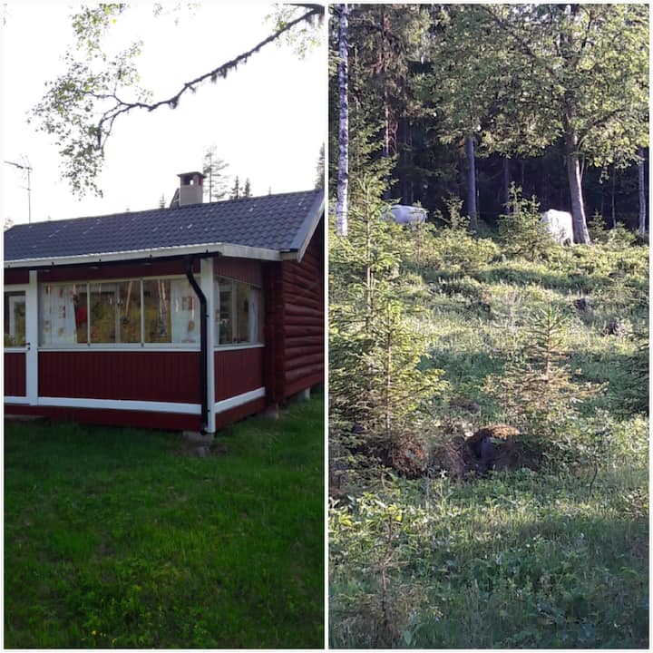 Semester I Levande Fäbod Utan El Och Stress. - Älvdalen