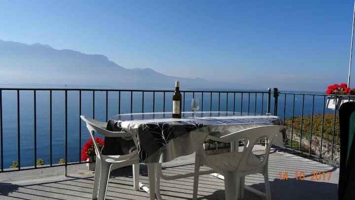 Au Bord Du Lac ,Région Du Lavaux - Vevey