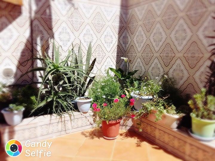 Villa Mostaganem Stidia - Oran