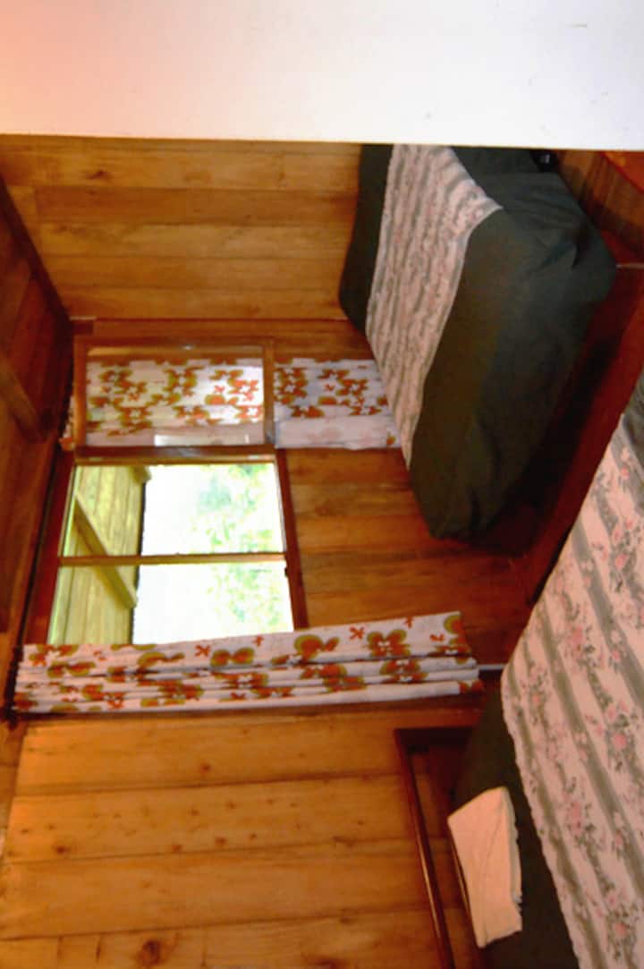 Wildness And Nature As You Want It - Mindo Valley