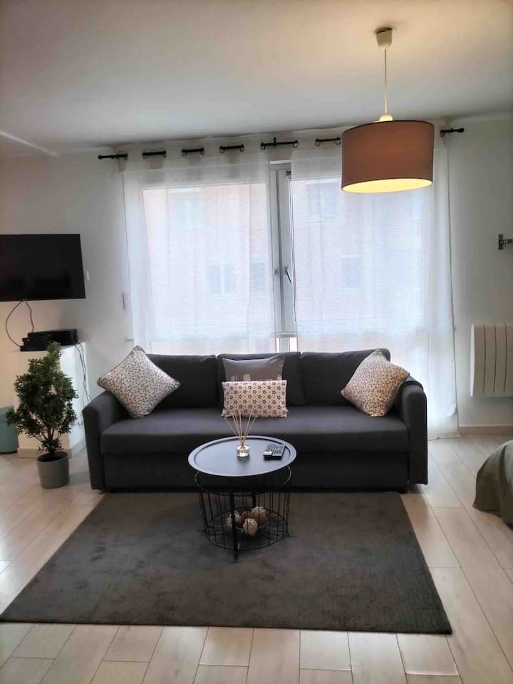 Grand Studio La Part-dieu - Lyon