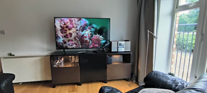 Entire Appt 1 Bedroom Ensuite - Galway